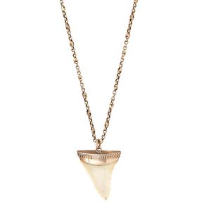 Victorian Gold Sharks Tooth Pendant with 9ct Chain - Pendants/Lockets ...