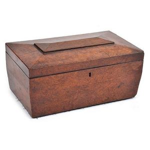 Victorian Yew Wood Collector's Box with Bronze Vegetables Insets ...