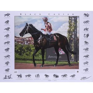 Signed Black Caviar Print by Clinton, Nolen, Moody & Artist - Sporting ...