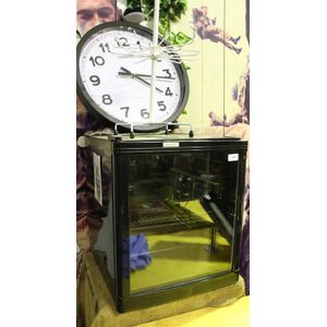 Ascot Clock, Husky Drinks & Sterling Bar Display Fridge - Sporting ...