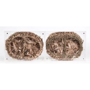 Australian Aboriginal artefacts: kadaitcha shoes - price guide and values