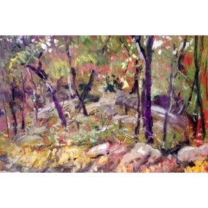 "Burralow Fire Trail" Pastel Landscape - Watercolours, Other Works on ...