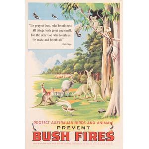 Protect Wildlife, Prevent Bushfires - Prints - Posters - Art