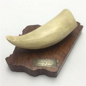 Sperm Whale Tooth on Silky Oak Stand - Natural History - Industry ...