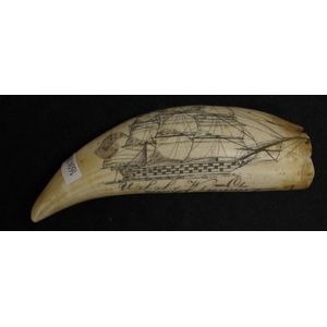 Scrimshaw whale's teeth, ivory and bone - price guide and values
