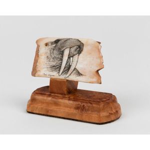 Scrimshaw walrus tusks - price guide and values