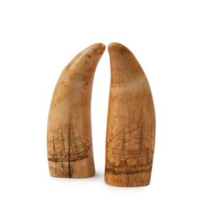 Scrimshaw whale's teeth, ivory and bone - price guide and values