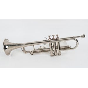Tristar Indian Trumpet in 52cm Case - Musical Instruments & Accessories ...