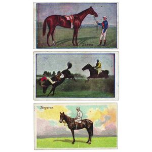 Early 1900s Australian Horse Racing Card Collection - Sporting - Horses ...