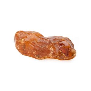 Large Natural Amber Specimen - 20 x 13 cm - Fossils and geodes ...