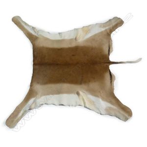 Worn Impala Hide, 110 x 110 cm - Natural History - Industry Science ...