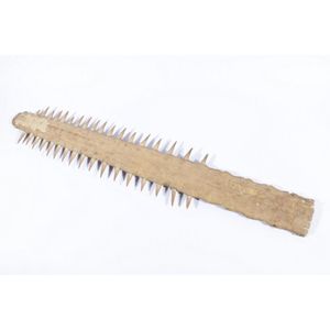 Taxidermied swordfish / sawfish rostrum (bills) - price guide and values