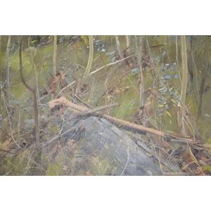 "Scrub Landscape" by Hal Barton (1983) - Oil Paintings and Acrylics - Art
