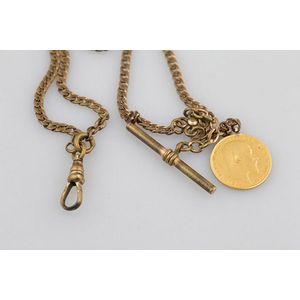 Gold Plated Albert Chain with 22ct Coin Medallion - Necklace/Chain ...
