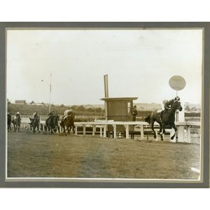 Vintage horse racing programmes and race cards - price guide and values