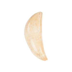 Fiji tribal artefacts, tabua (polished tooth) - price guide and values