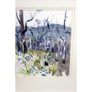 Spring on East Coast Tas - Watercolours, Other Works on Paper - Art