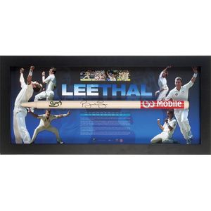 Brett Lee's 300th Wicket Celebration Display - Sporting - Cricket ...