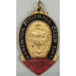 Vintage Essendon Football Club medals, badges and membership cards ...