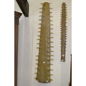 Taxidermied swordfish / sawfish rostrum (bills) - price guide and values