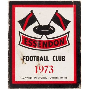 Vintage Essendon Football Club medals, badges and membership cards ...