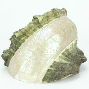 Floral Cameo Sea Shell Carving - Cameos - carved shells - Sundries