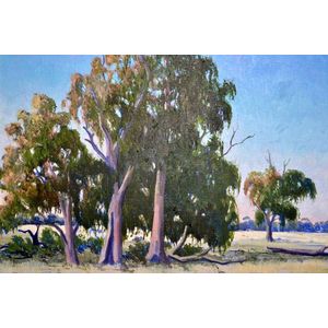 Gum Tree Landscape - Oil Paintings and Acrylics - Art