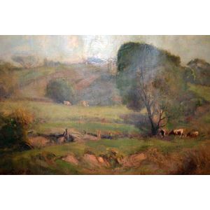 Australian Cattle Grazing in Landscape - Oil Paintings and Acrylics - Art