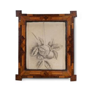 Australian Specimen Timbers Frame: Fiddleback Blackwood, Casuarina ...