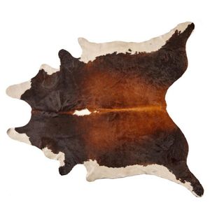 Taxidermied hides and pelts - price guide and values