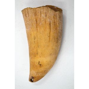 Fijian sperm whale tooth with two suspension holes, 19th century ...