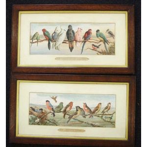 Cricket Lithographs by Harry Bright - Prints - Engravings, Lithographs ...
