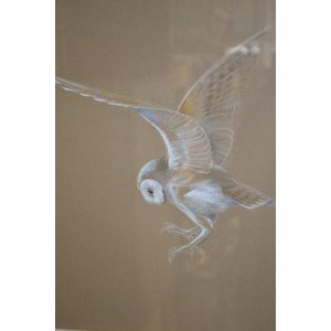 Owl Flight Pastel Artwork - Watercolours, Other Works on Paper - Art