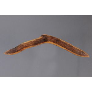 Australian Aboriginal artefacts: boomerangs - price guide and values