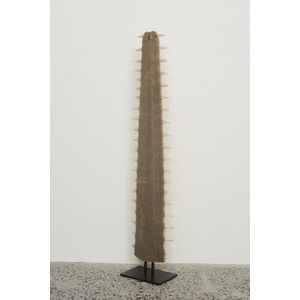 Taxidermied swordfish / sawfish rostrum (bills) - price guide and values