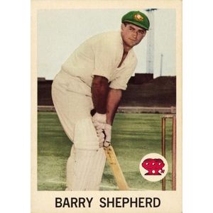 Scanlens trading cards cricket and cricketers - price guide and values