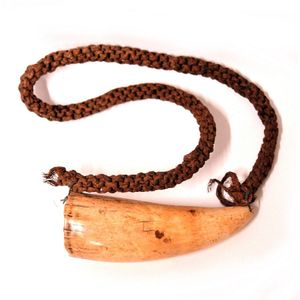 Fiji tribal artefacts, tabua (polished tooth) - price guide and values