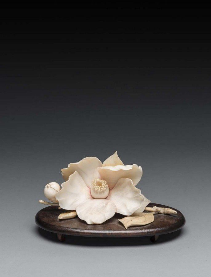 Coloured Ivory Lotus with Wood Stand - Ivory - Oriental