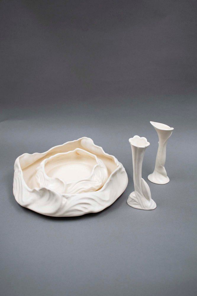 Crown Lynn Potteries White Ceramics Collection - Natural History ...