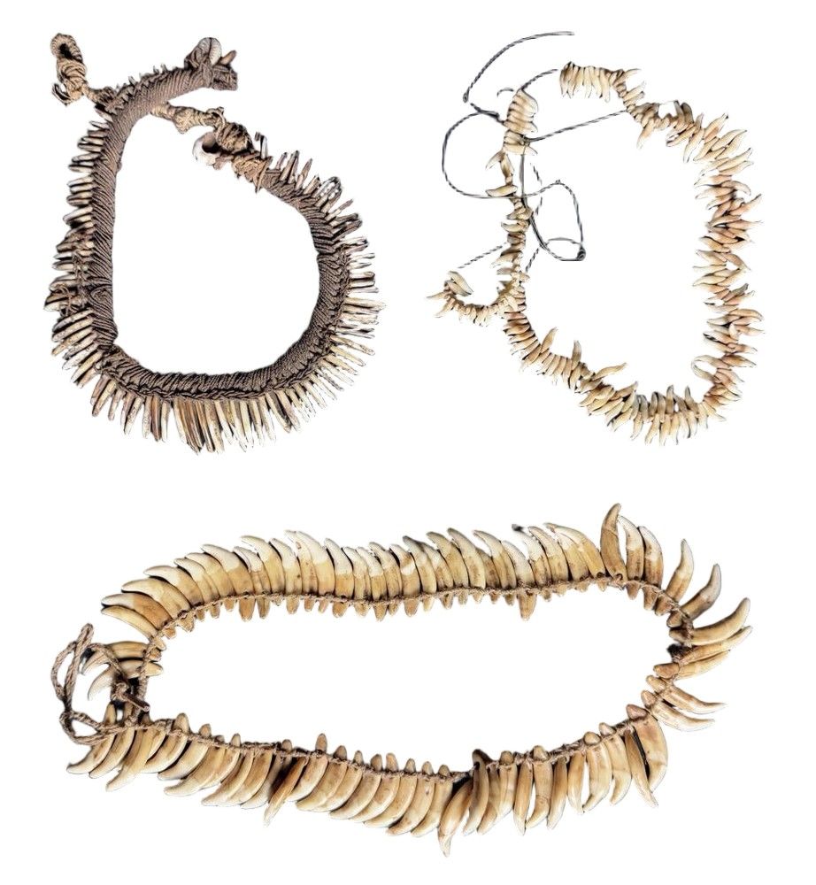 Papua New Guinea Teeth Necklaces from David Whitfield Collection - New ...
