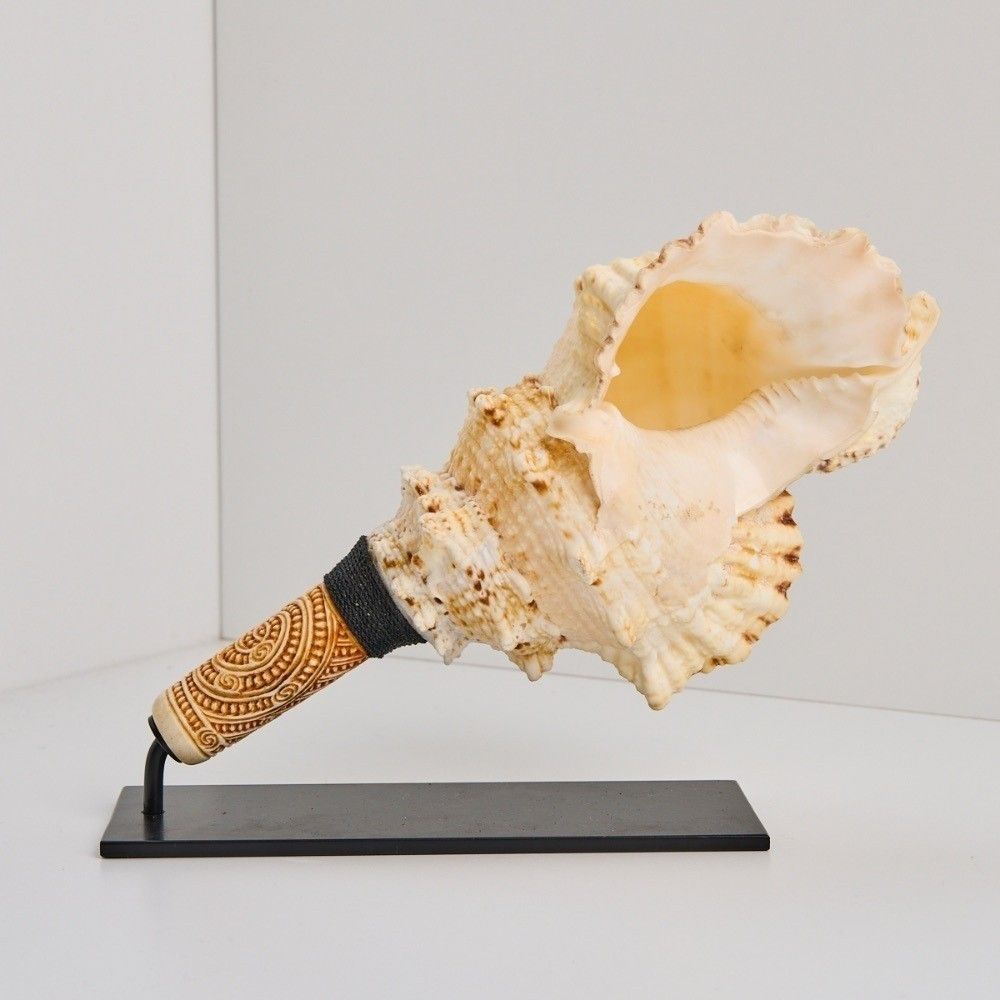 Maori Shell Wind Instrument: The Patatara of Aotearoa - New Zealand ...