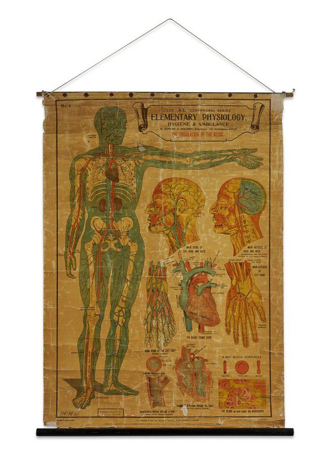 Medical Poster: Ancient Remedies and Treatments - Prints - Posters - Art