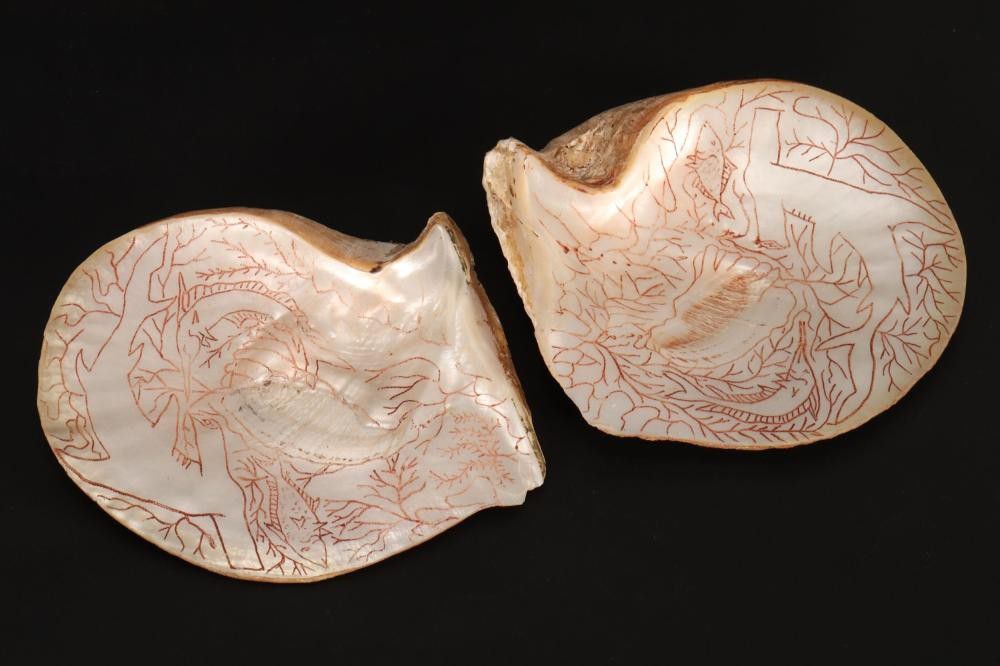 Aboriginal Engraved Pearl Shells from Queensland - Aboriginal ...