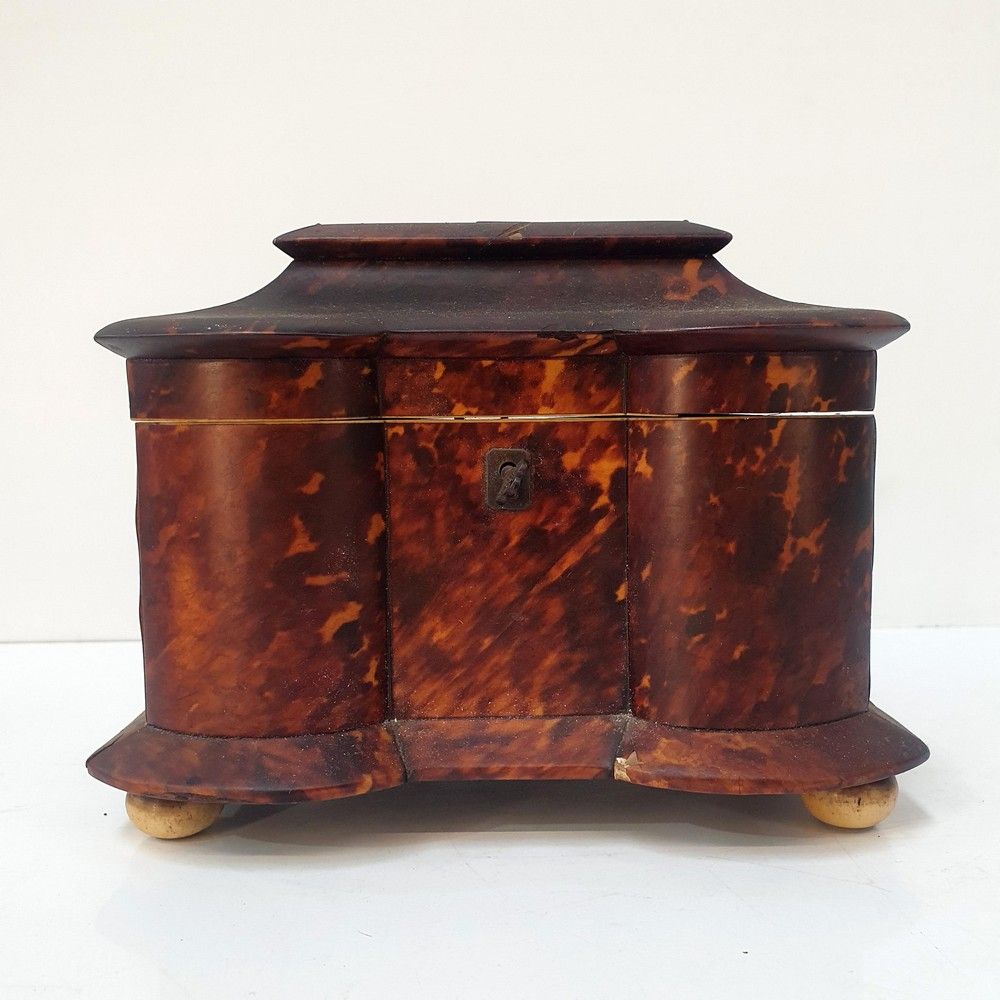 19th Century Tortoiseshell Tea Caddy with Ivory Accents - Tea Caddies ...