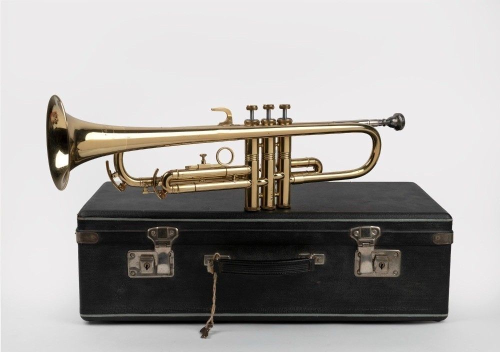 Clinton Brass Trumpet in Travel Case - 52cm Wide Case - Musical ...
