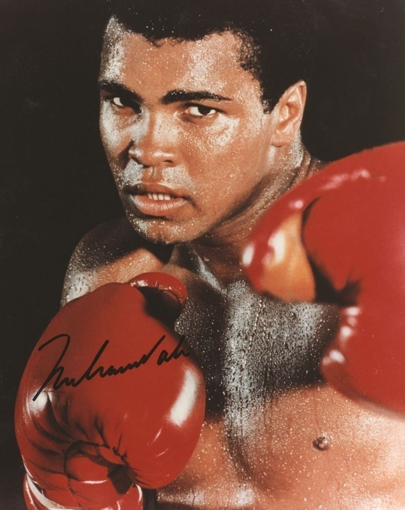 Legendary Boxing Autograph Collection - Sporting - Boxing - Memorabilia