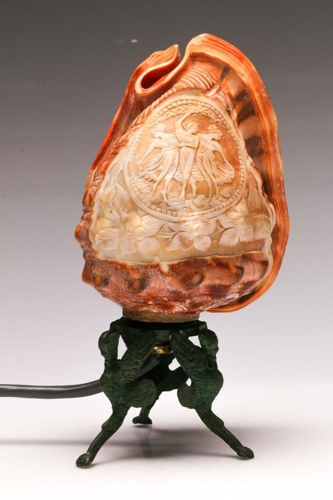 22 cm Cameo Shell Lamp - Cameo shell lights - Lighting