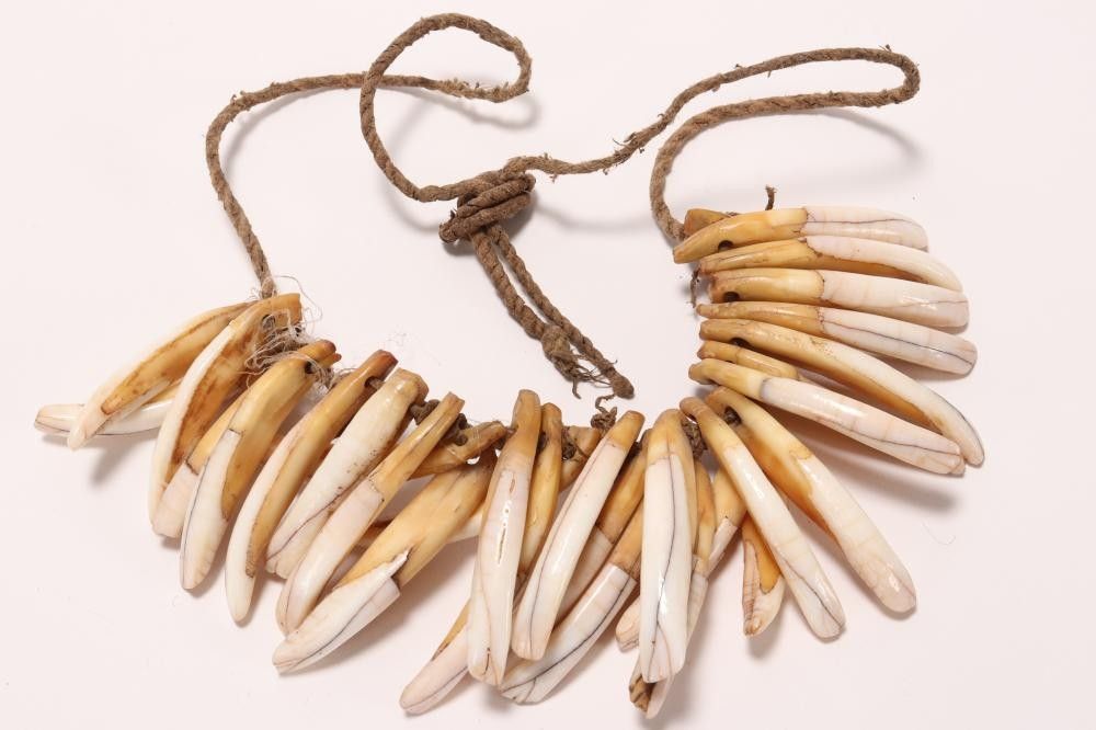 Sepik River Boar Tooth Necklace with Woven Fiber Design - New Guinean ...