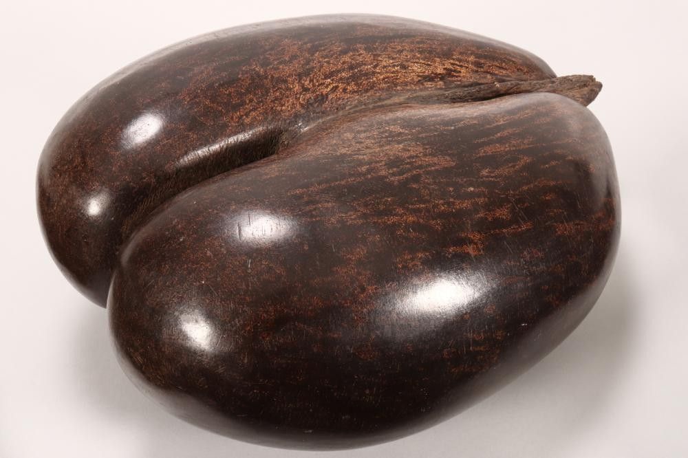 Large Coco de Mer Nut with Naturalistic Form and Patina - Natural ...