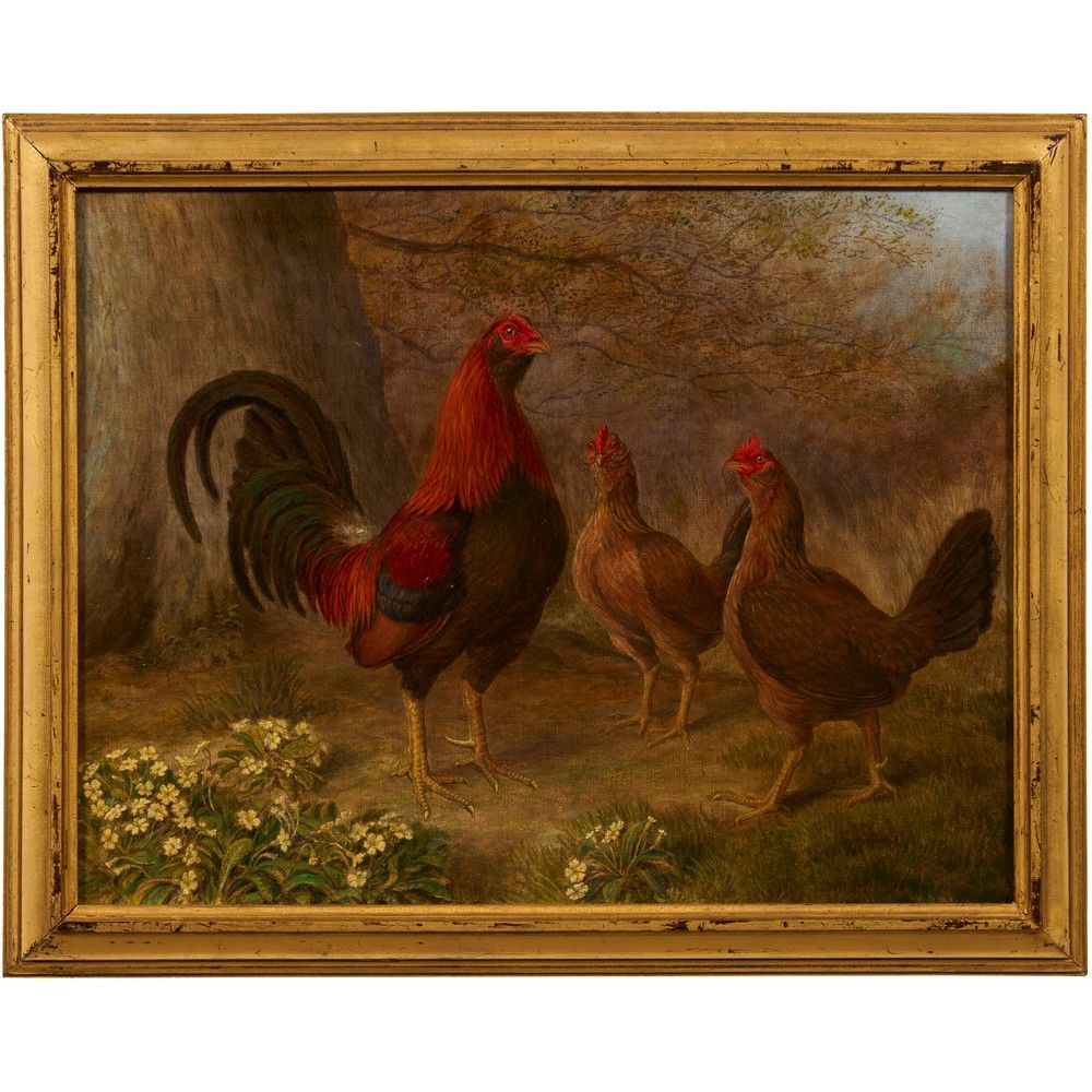 Cockerel and Two Hens in Woodland - Oil Paintings and Acrylics - Art